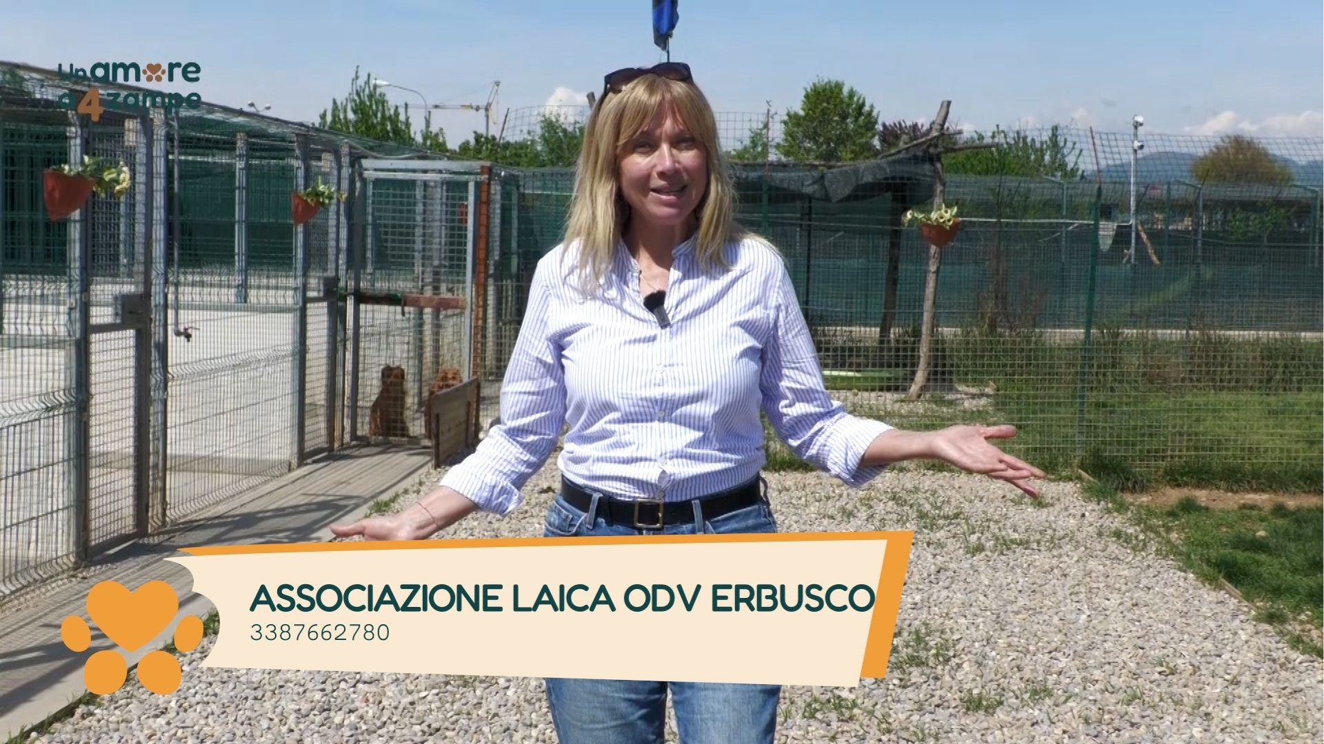 Canile di Erbusco, molto più di un rifugio. - I Programmi TeleBoario